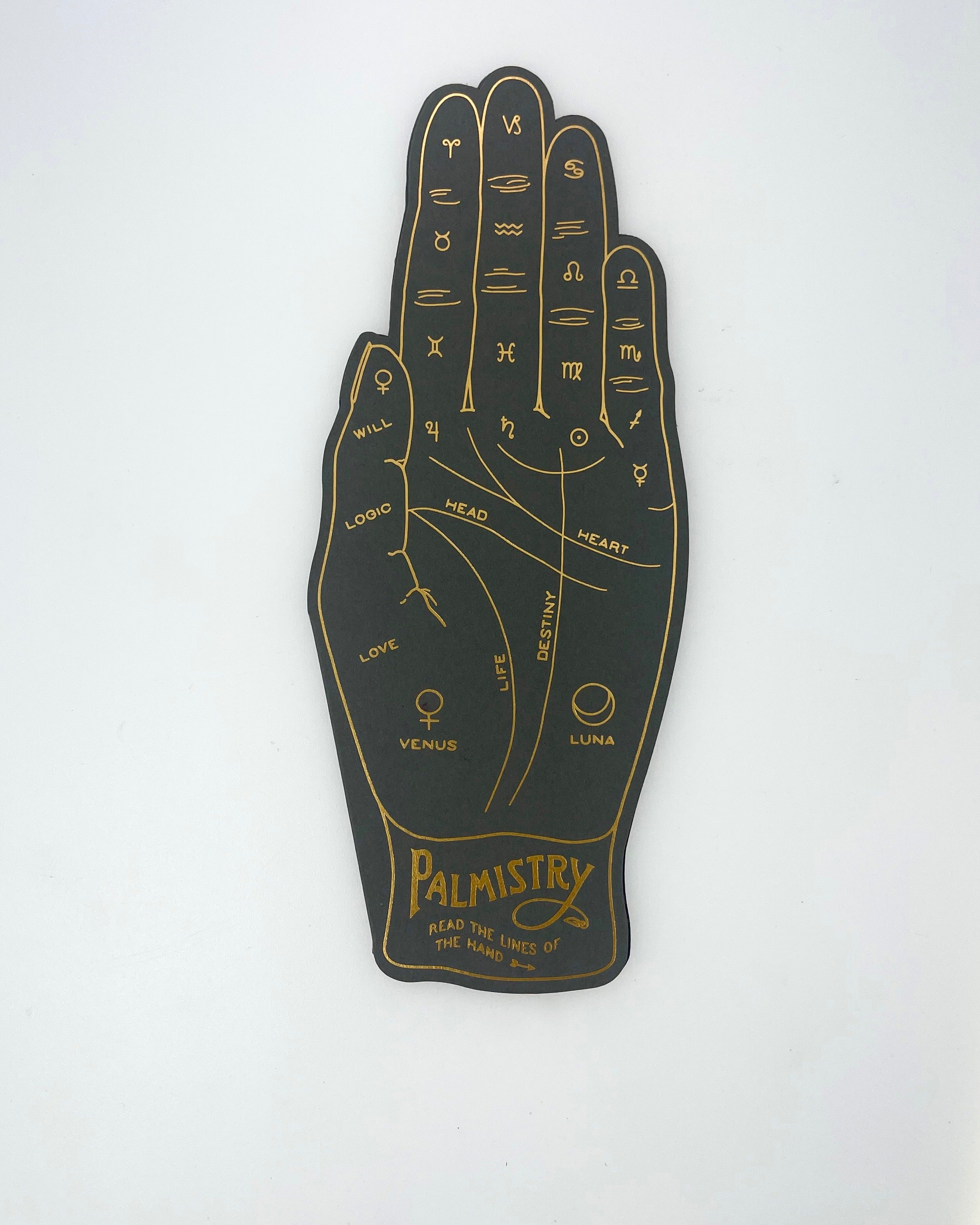 Noat Paper Palmistry Card – MOTTO Harvard Square