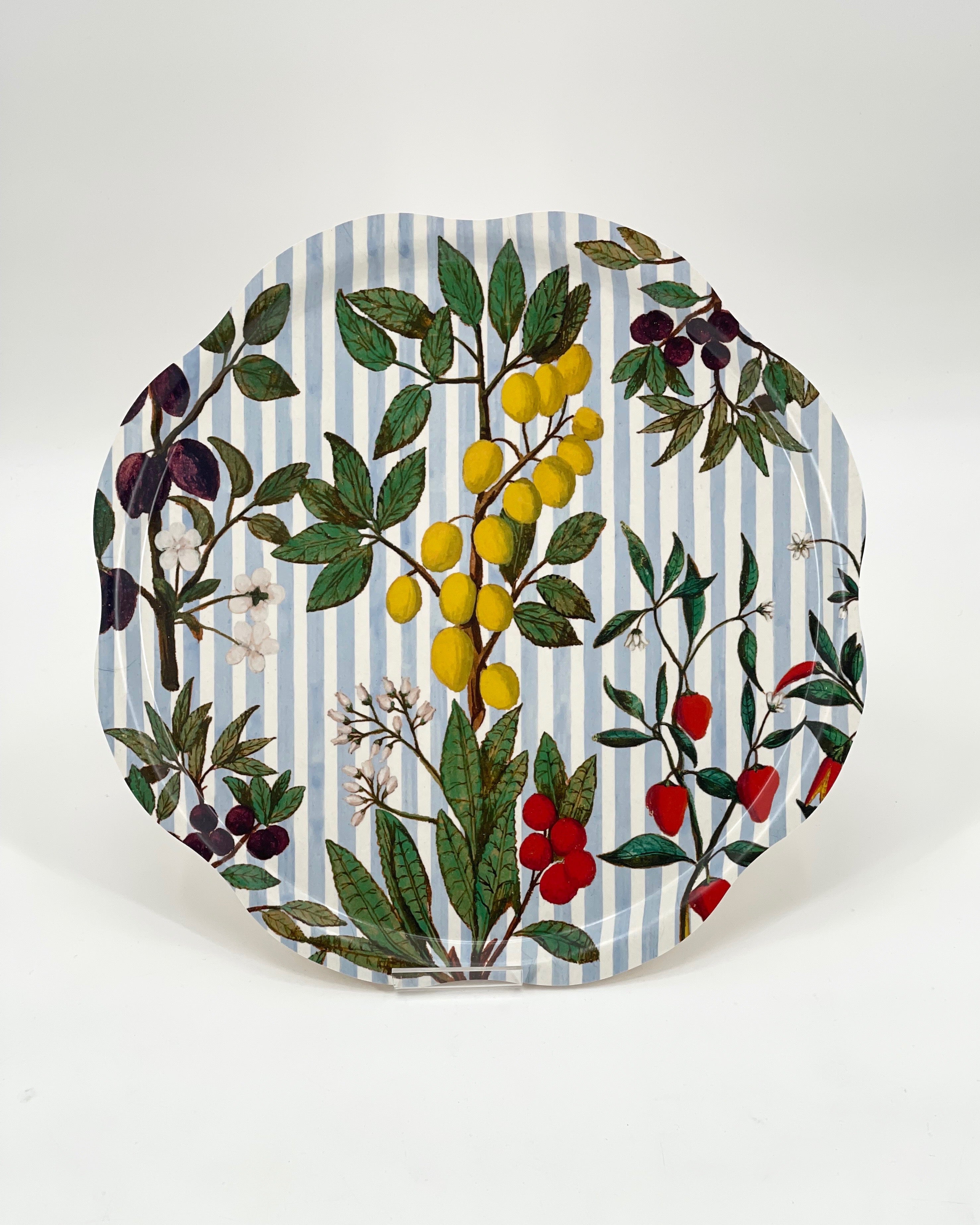 Festival of Fruits Tray – MOTTO Harvard Square