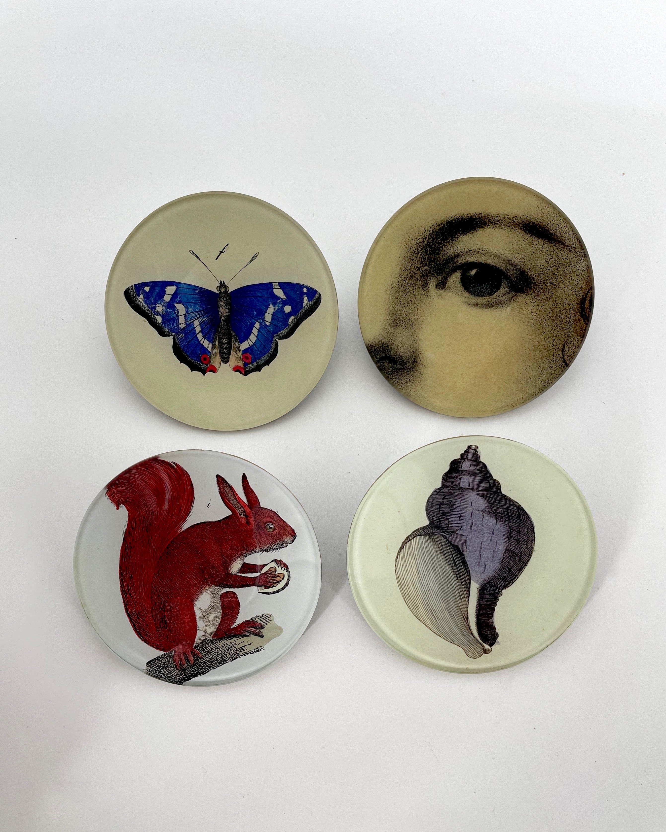 John Derian 4" Round Plates – MOTTO Harvard Square