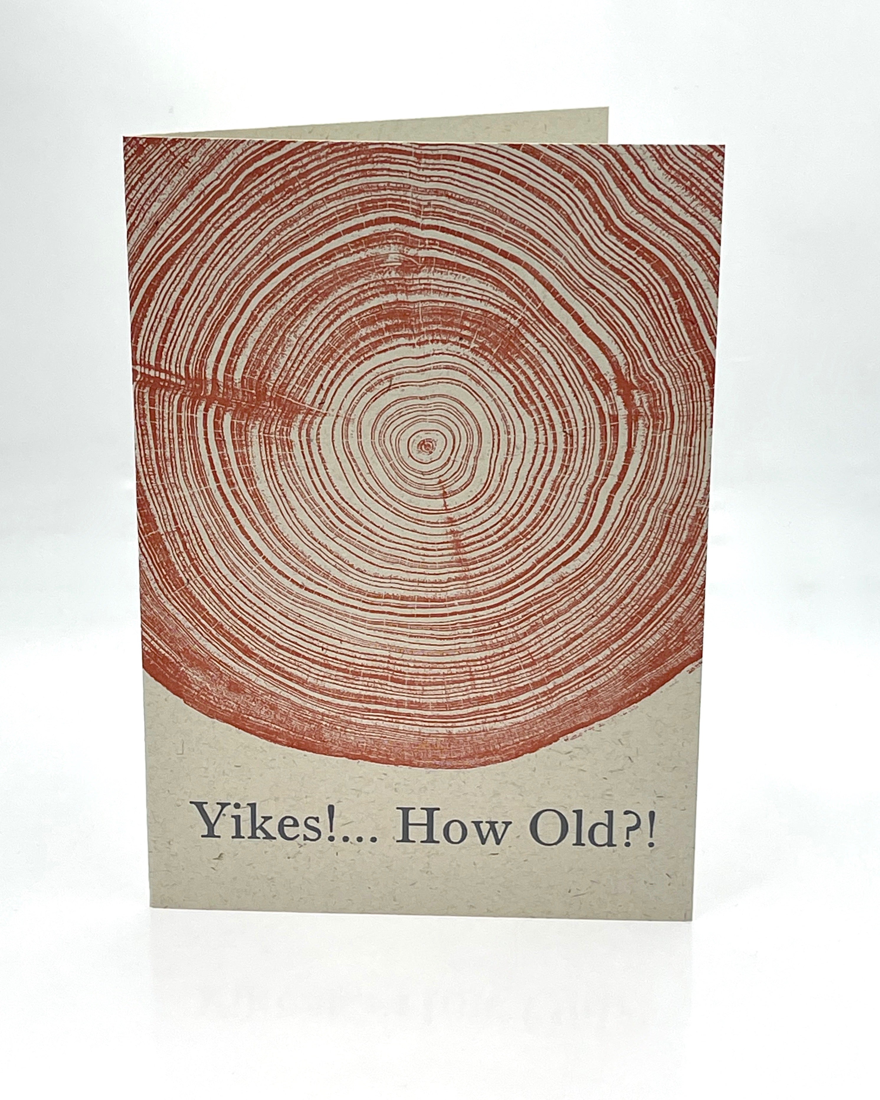 Cards – MOTTO Harvard Square