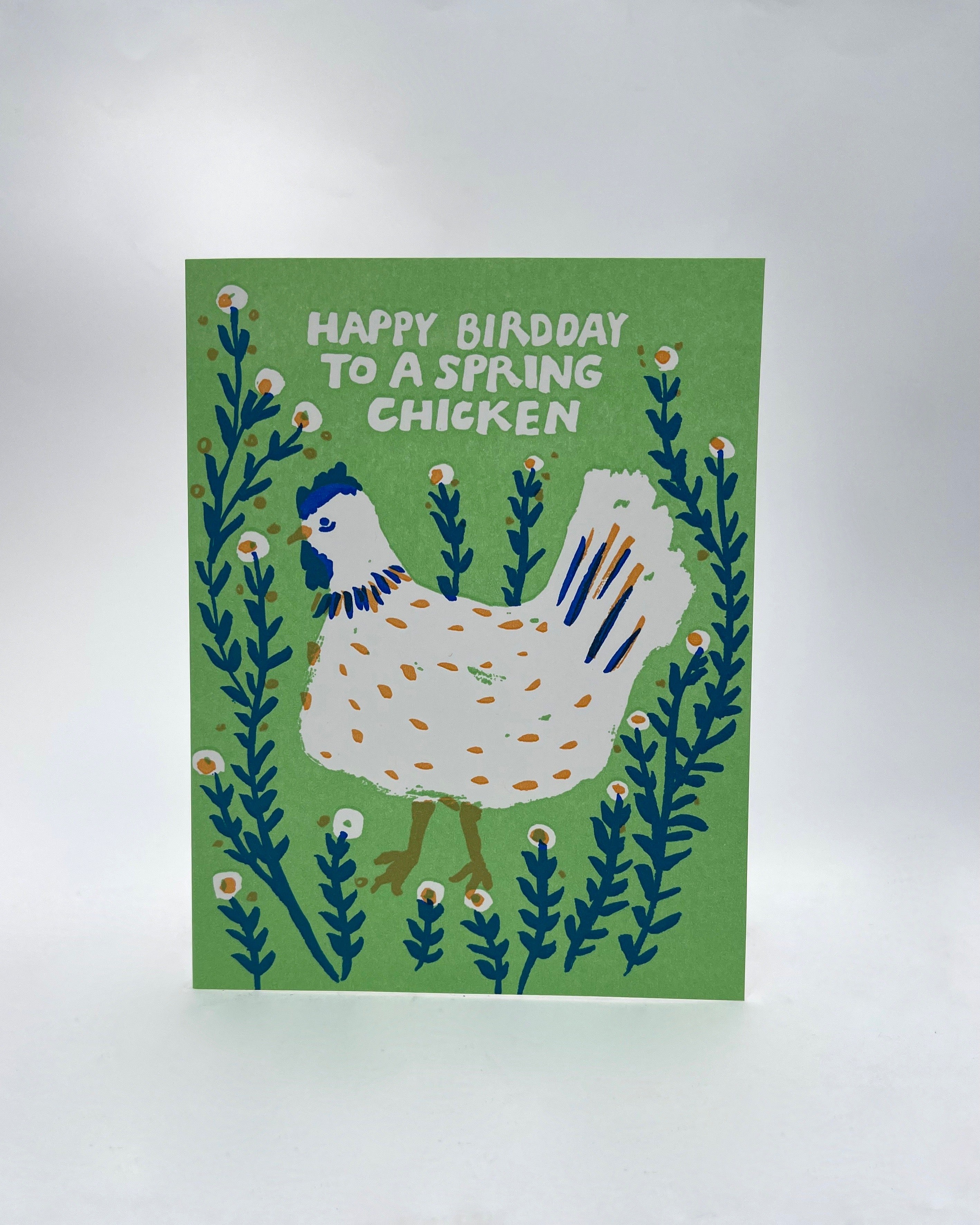 Spring Chicken Birthday Card – MOTTO Harvard Square